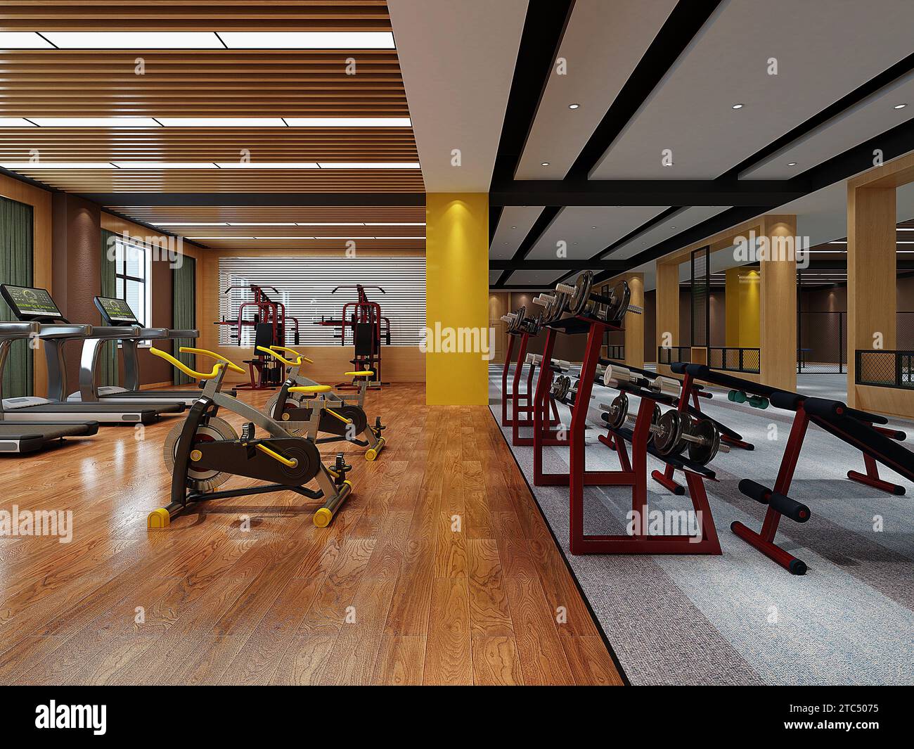 3d render fitness workout wellness center Stock Photo - Alamy