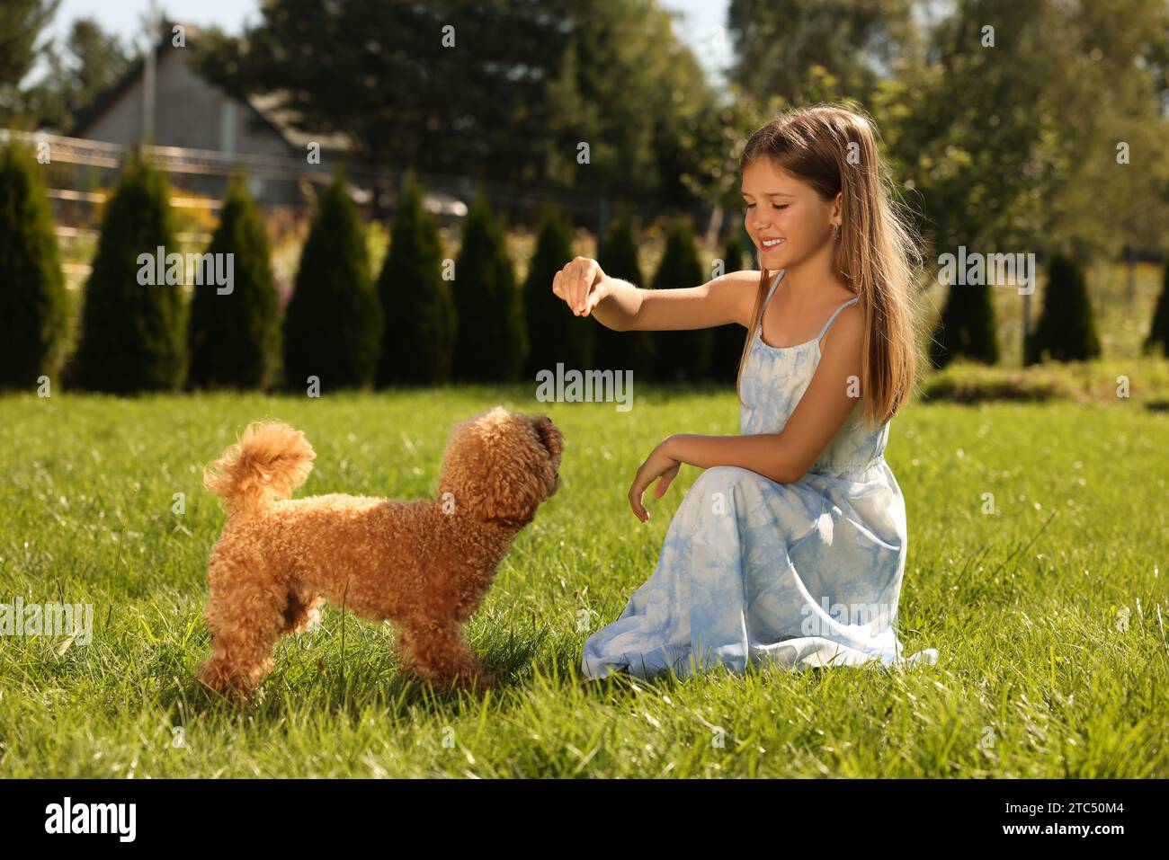 Beautiful tween girl on sunny hi-res stock photography and images - Alamy
