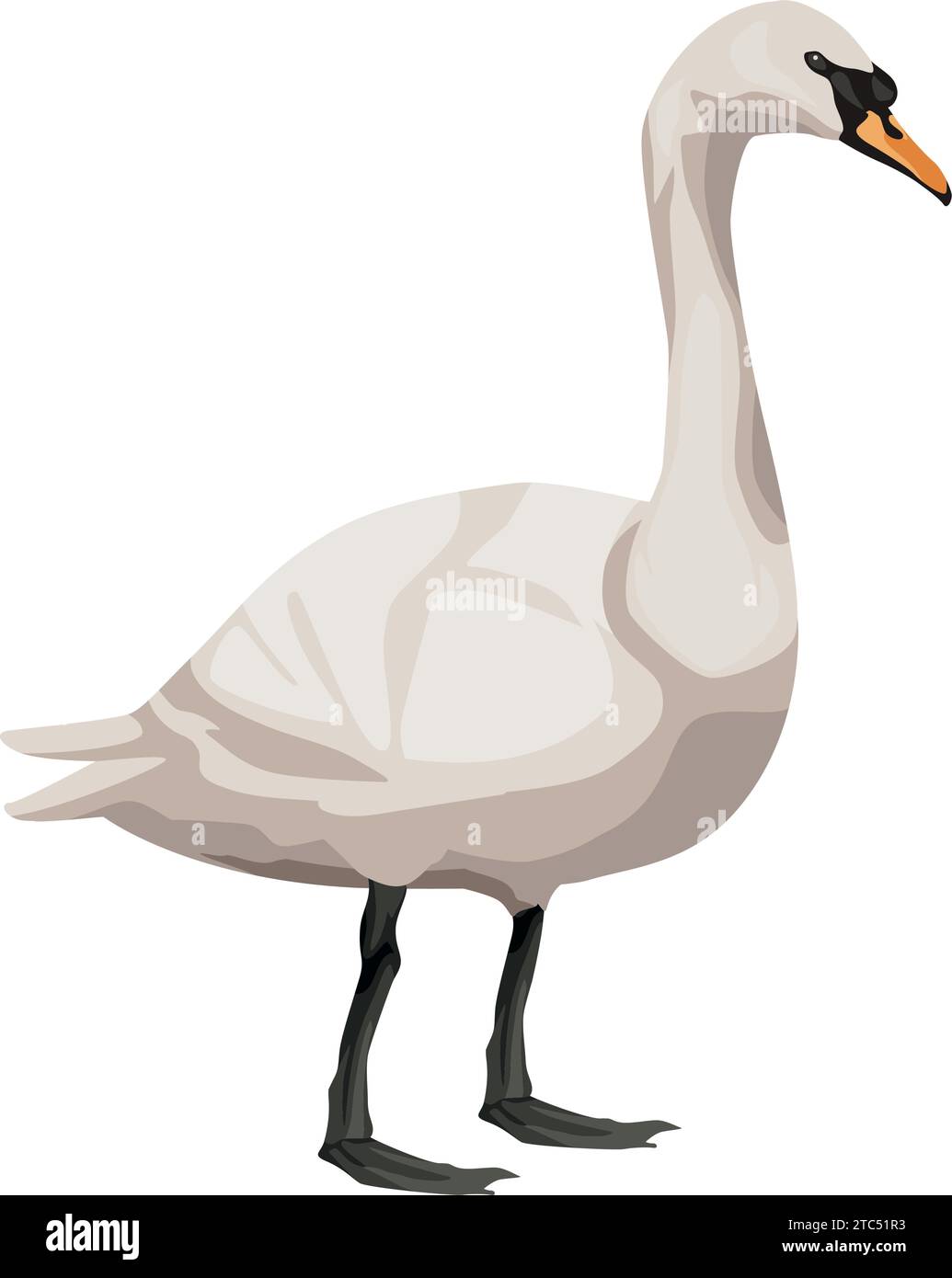 Domestic geese goose farm Stock Vector Images - Alamy