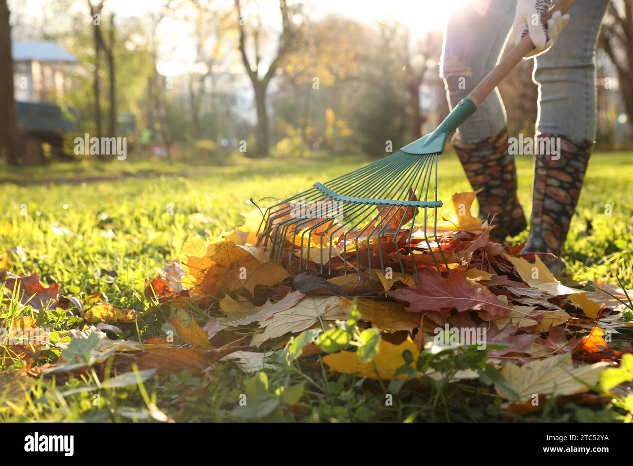 Woman raking pile dry leaves hi-res stock photography and images - Alamy