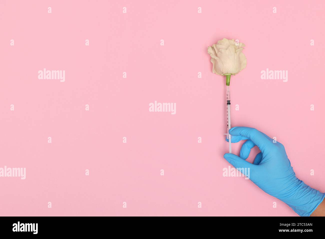 Doctor making injection to rose on pink background, top view. Space for ...