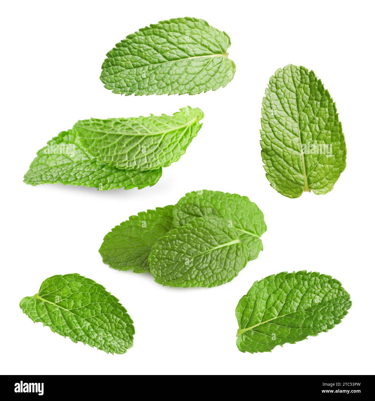 Fresh mint leaves isolated on white, set Stock Photo - Alamy