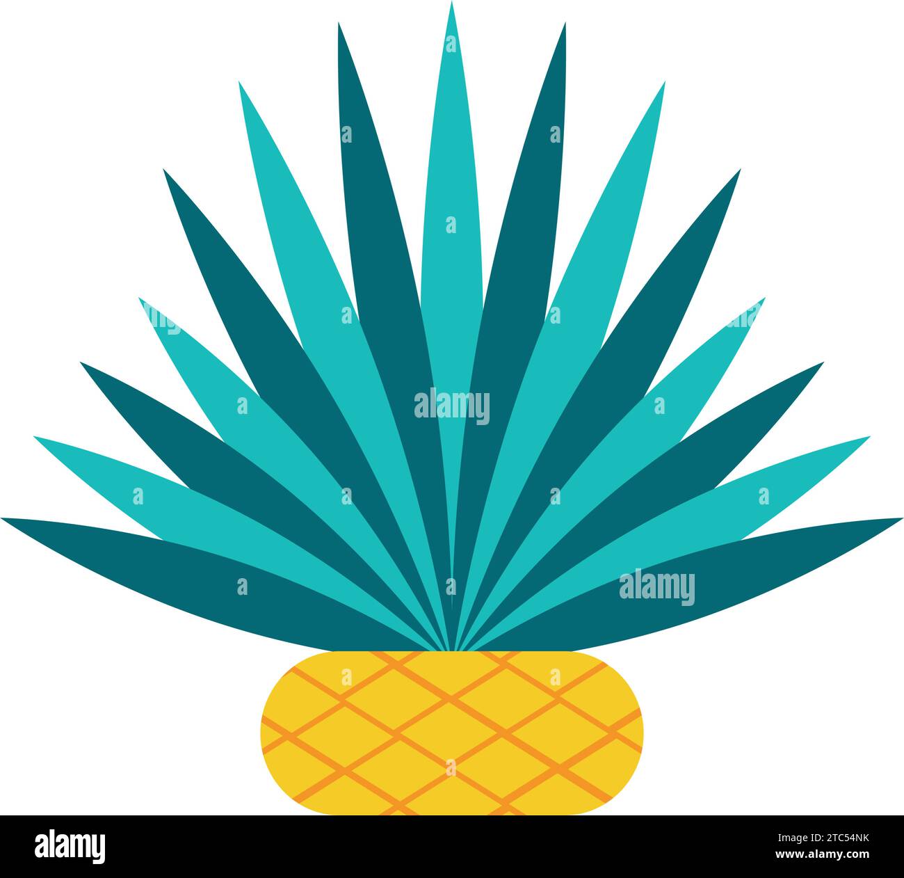 mexico mezcal agave plant Stock Vector Image & Art - Alamy