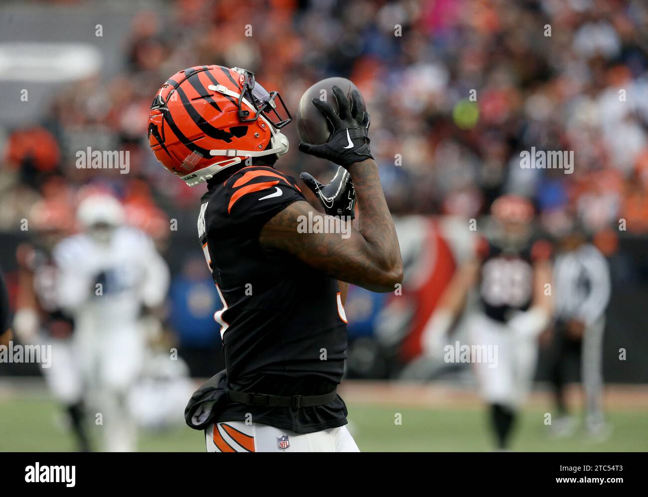 Tee higgins 2023 hi-res stock photography and images - Alamy