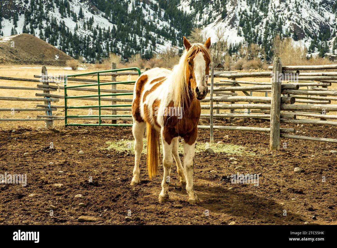 Xf 50 140 2 8 ois hi-res stock photography and images - Alamy