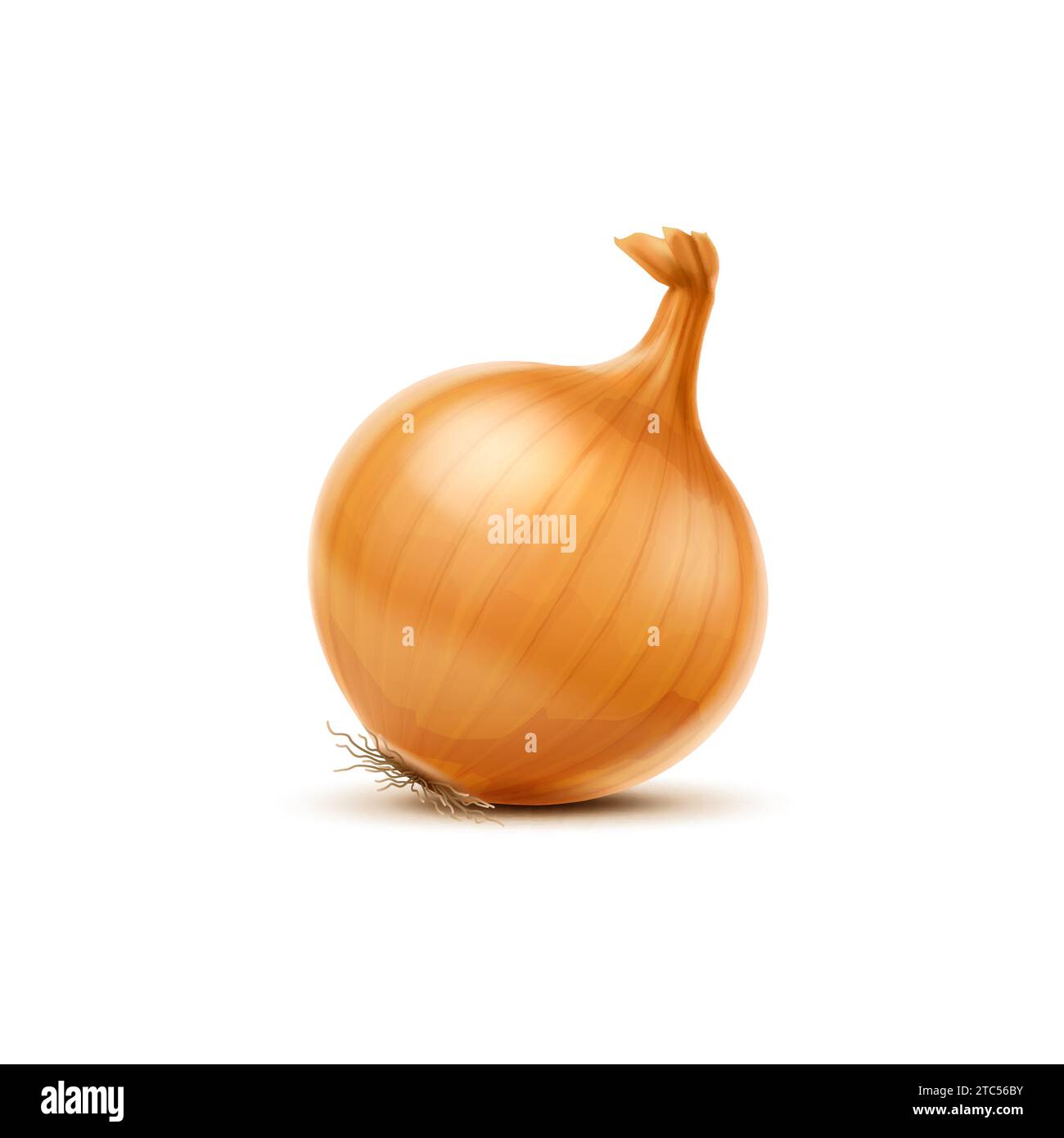 Isolated realistic yellow raw onion, whole vegetable. 3d vector ...