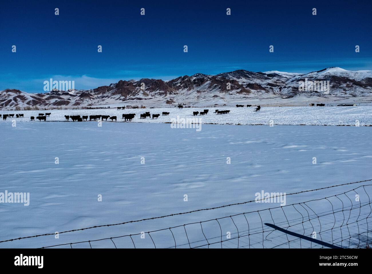winter views of round valley Stock Photo - Alamy