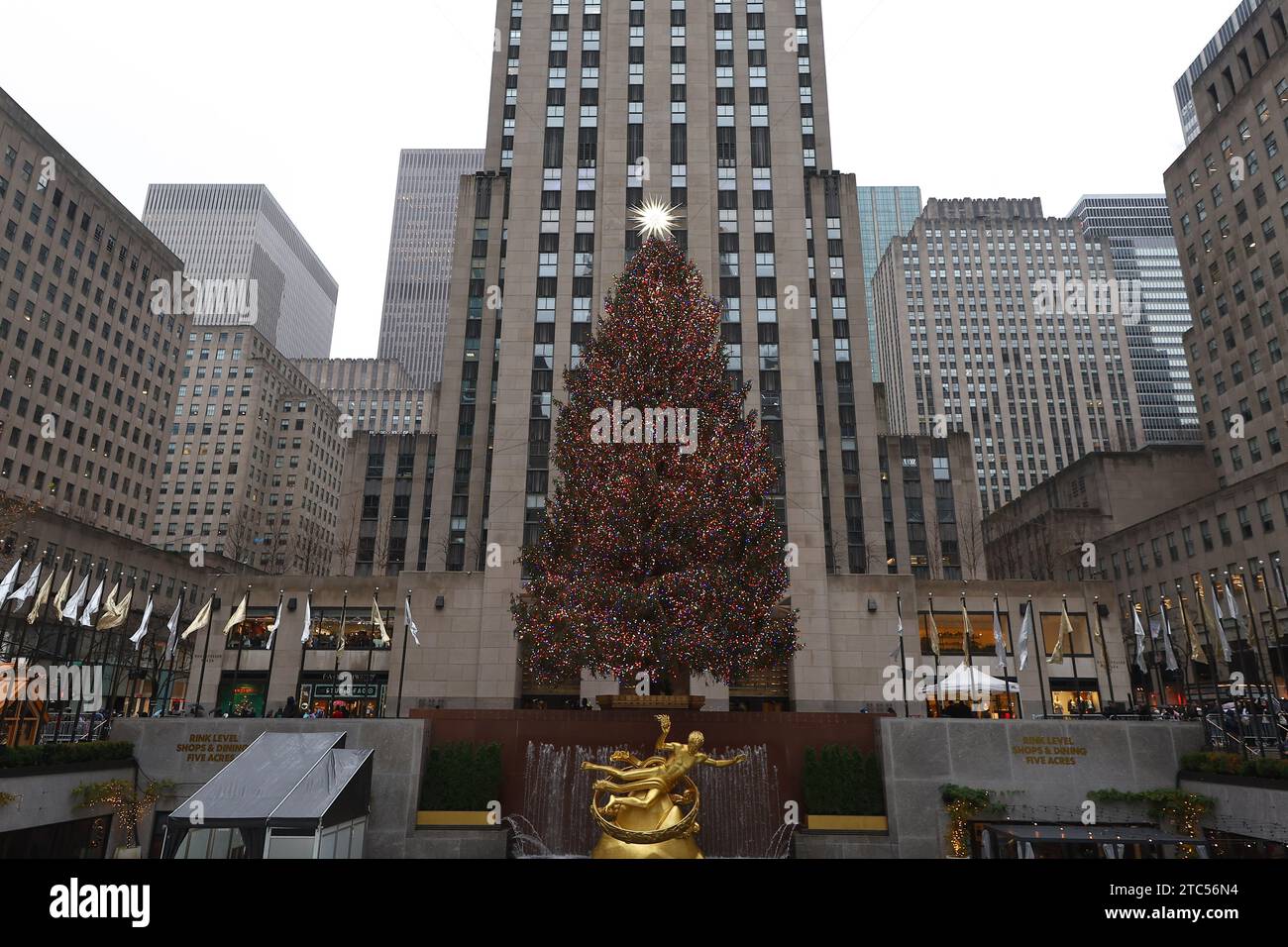 The Rockefeller Center Tree in New York, New York on Sunday, Dec. 10 ...