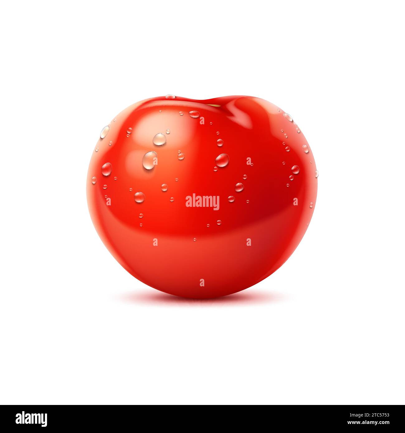 Raw realistic red ripe tomato, whole cherry vegetable with water ...