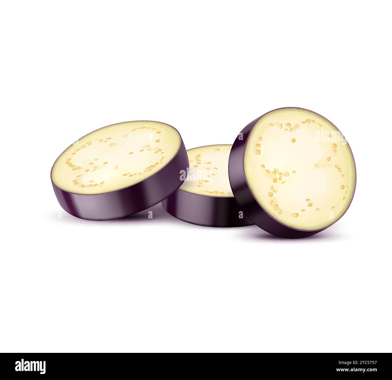 Realistic raw isolated eggplant vegetable rings. 3d vector slices with ...