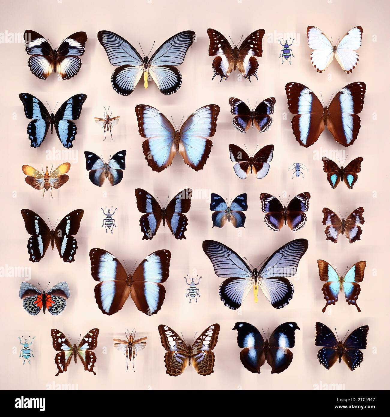 Montreal, Quebec, Canada. 10th Dec, 2023. Recent research suggesting ...