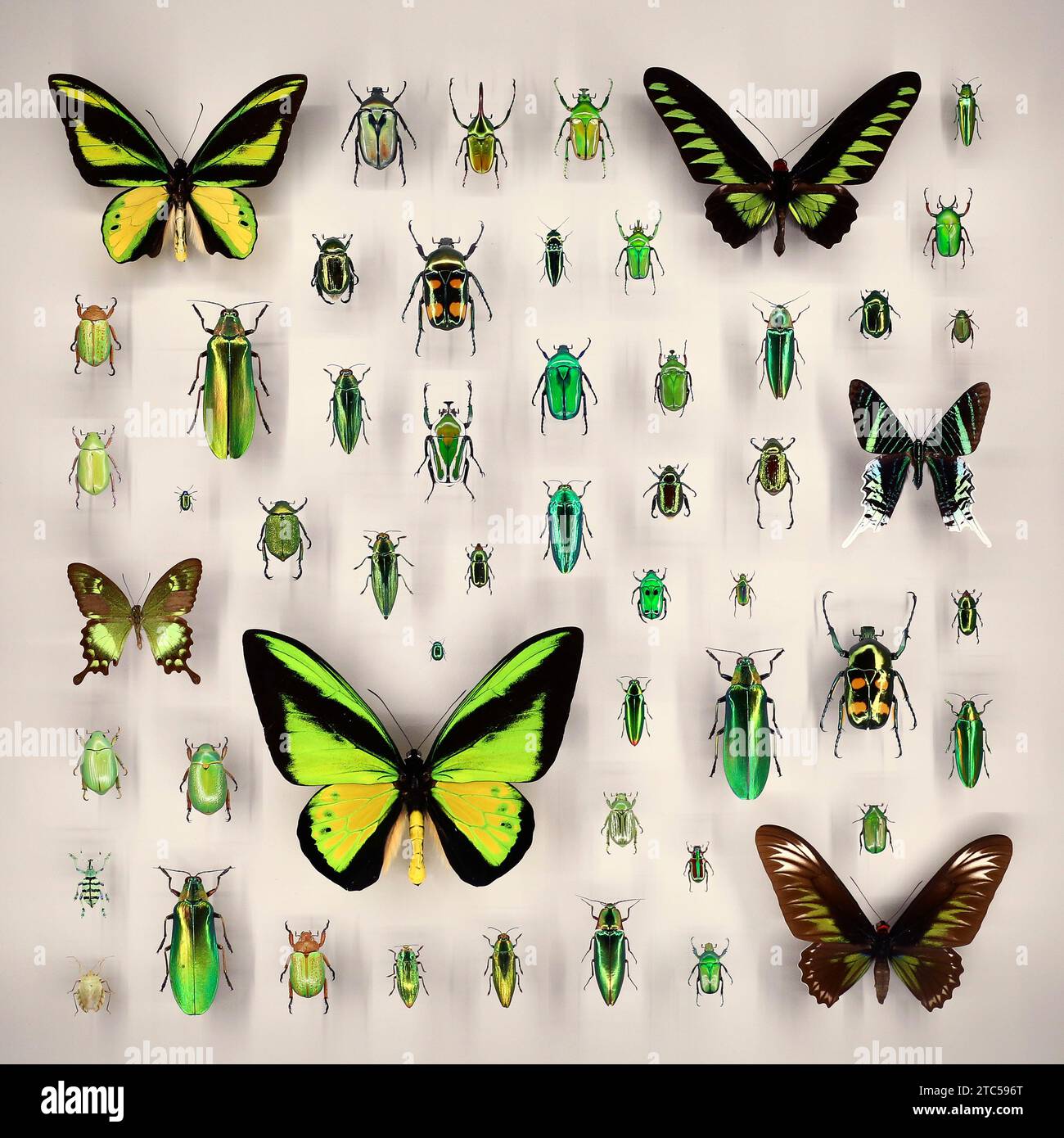 Montreal, Quebec, Canada. 10th Dec, 2023. Recent research suggesting ...