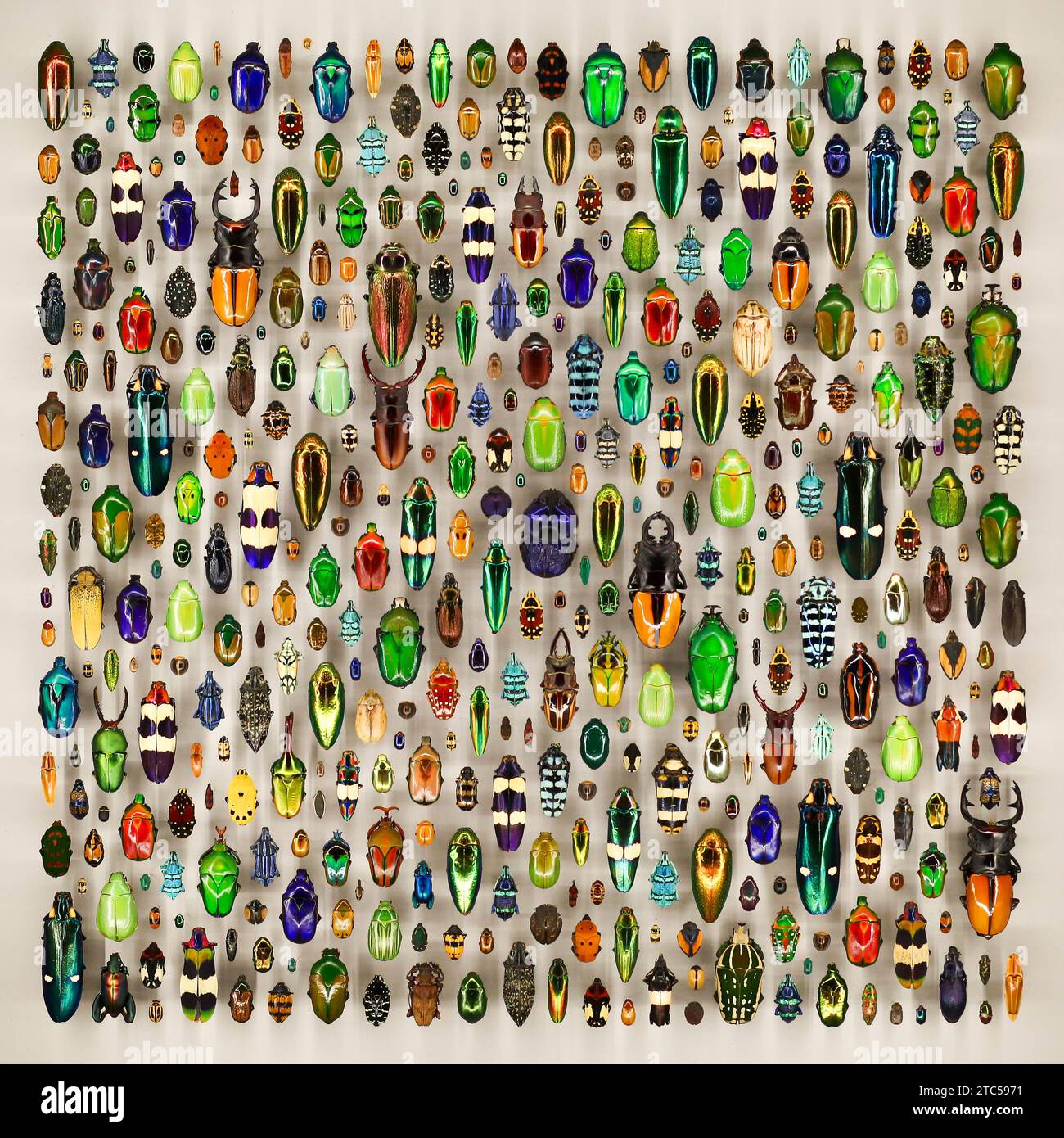 Montreal, Quebec, Canada. 10th Dec, 2023. Recent research suggesting ...