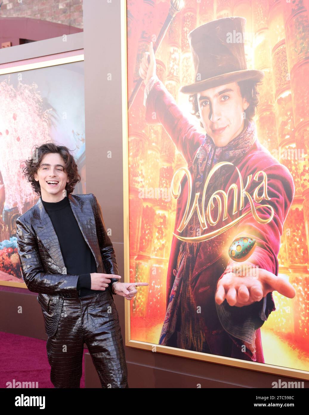 Willy wonka timothee chalamet hi-res stock photography and images - Alamy