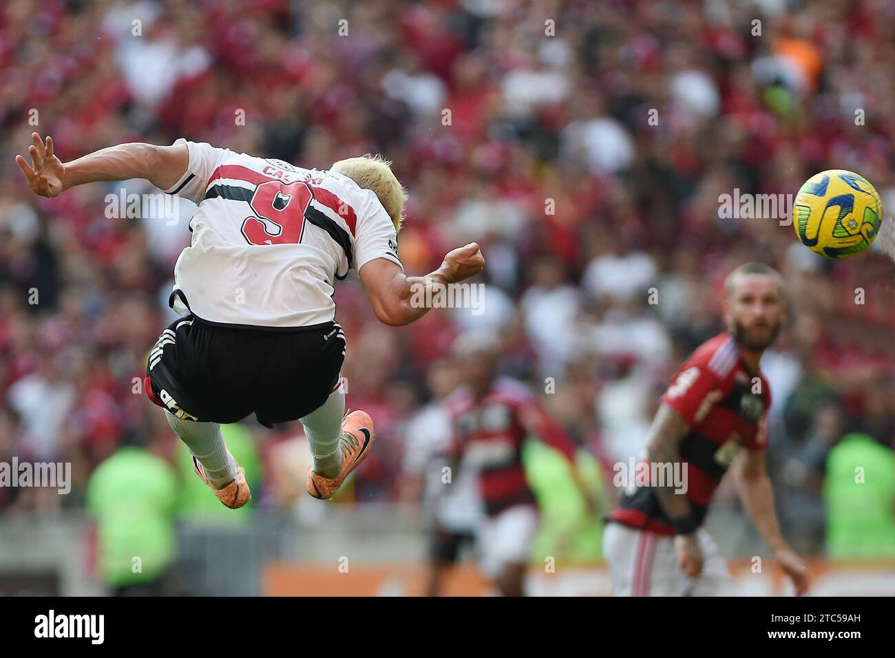 Calleri sao paulo hi-res stock photography and images - Alamy