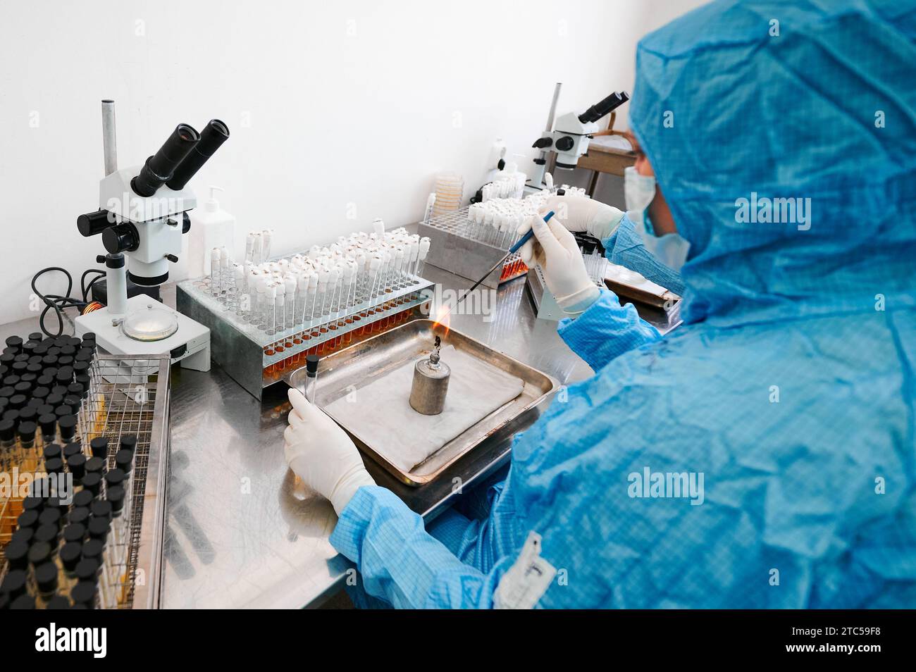 Laboratory assistant works on creating bacterial culture Stock Photo ... Laboratory assistant works on creating bacterial culture Stock Photo ...