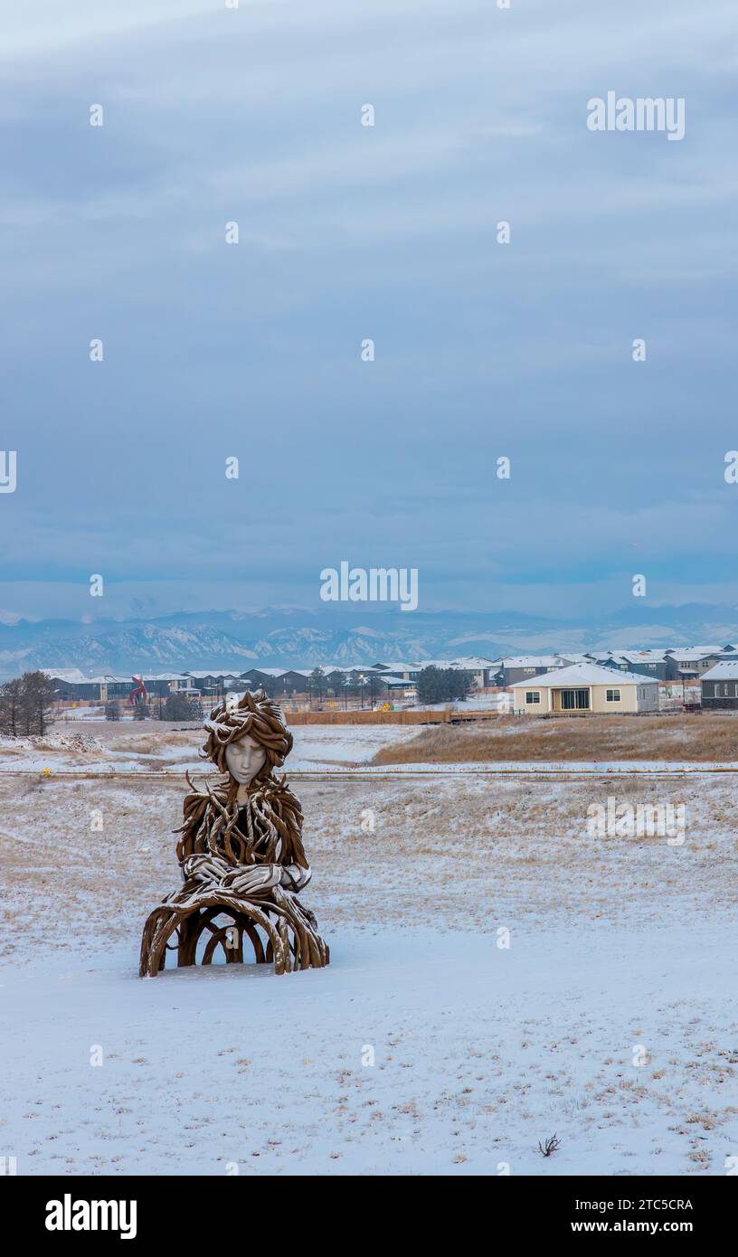 Aurora, Colorado - December 9, 2023: Umi in the snow. Daniel Popper's ...