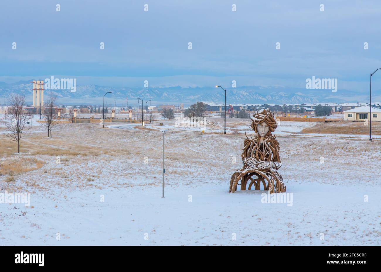 Aurora, Colorado - December 9, 2023: Umi in the snow. Daniel Popper's ...