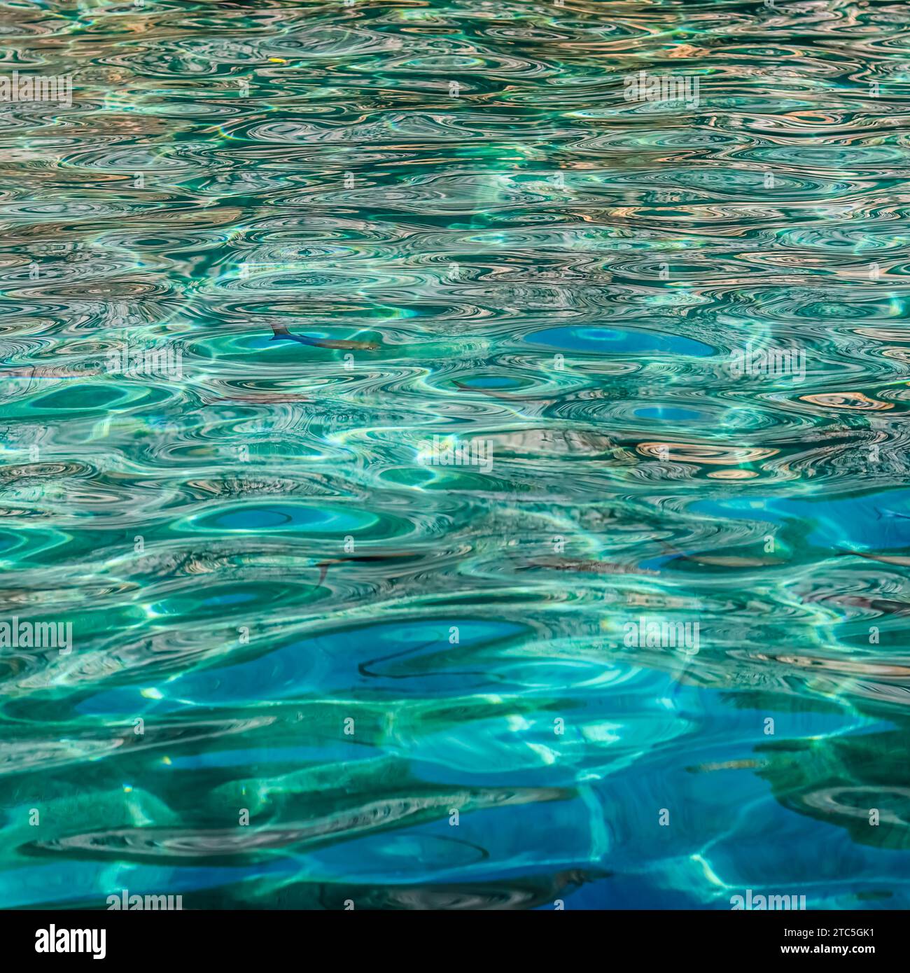 Emerald sea water in sunshine glow as surface background. Summer ...