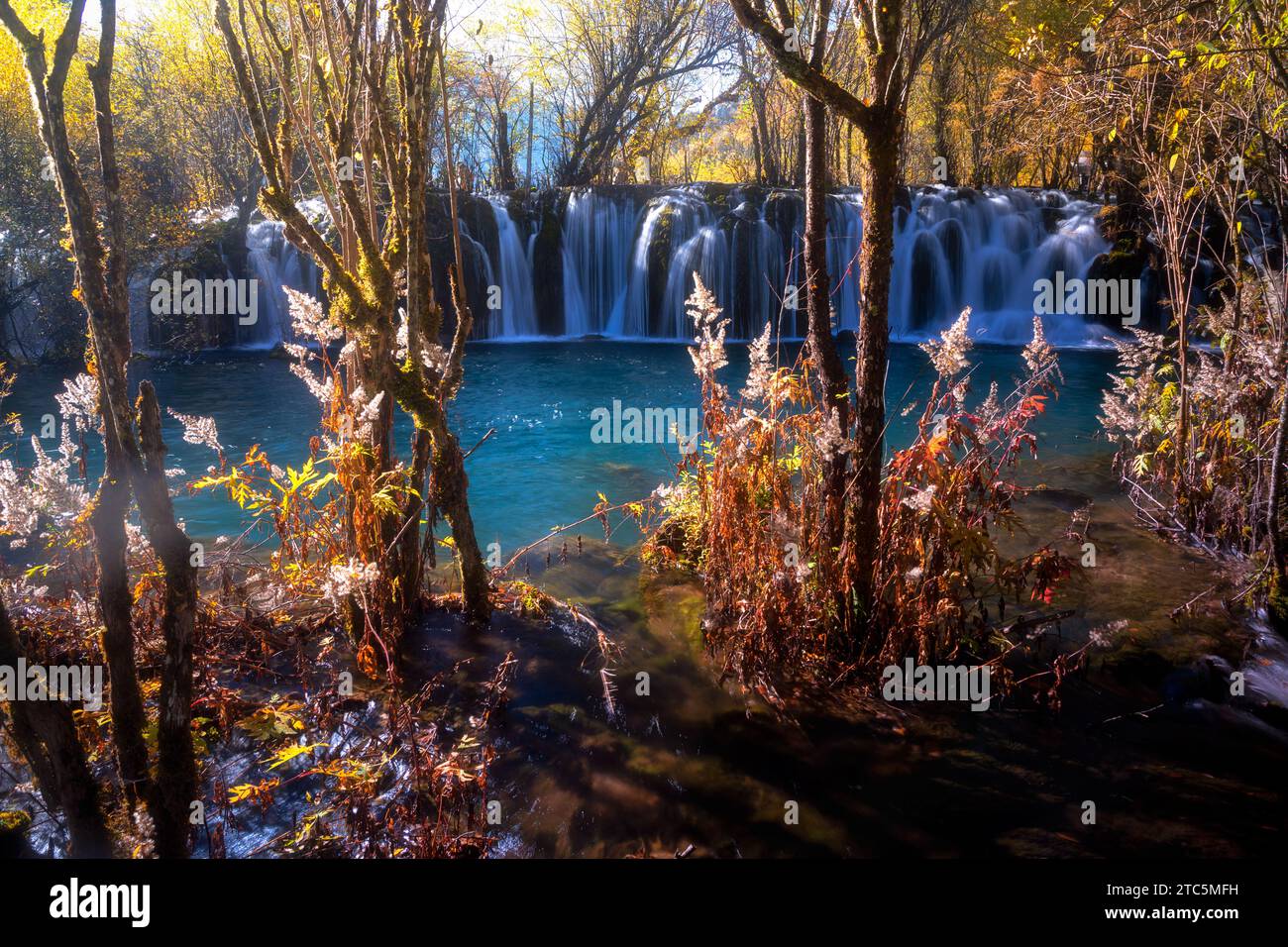 Beautiful and fresh scenery at Arrow Bamboo waterfall with cascade ...