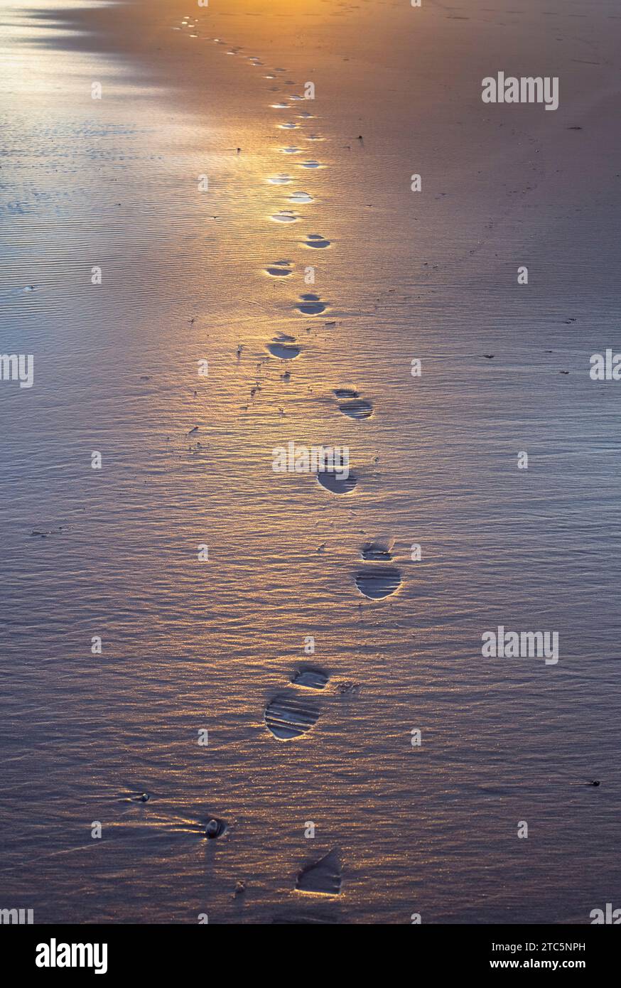 Foot prints in the sand along east beach at sunrise. Lossiemouth ...