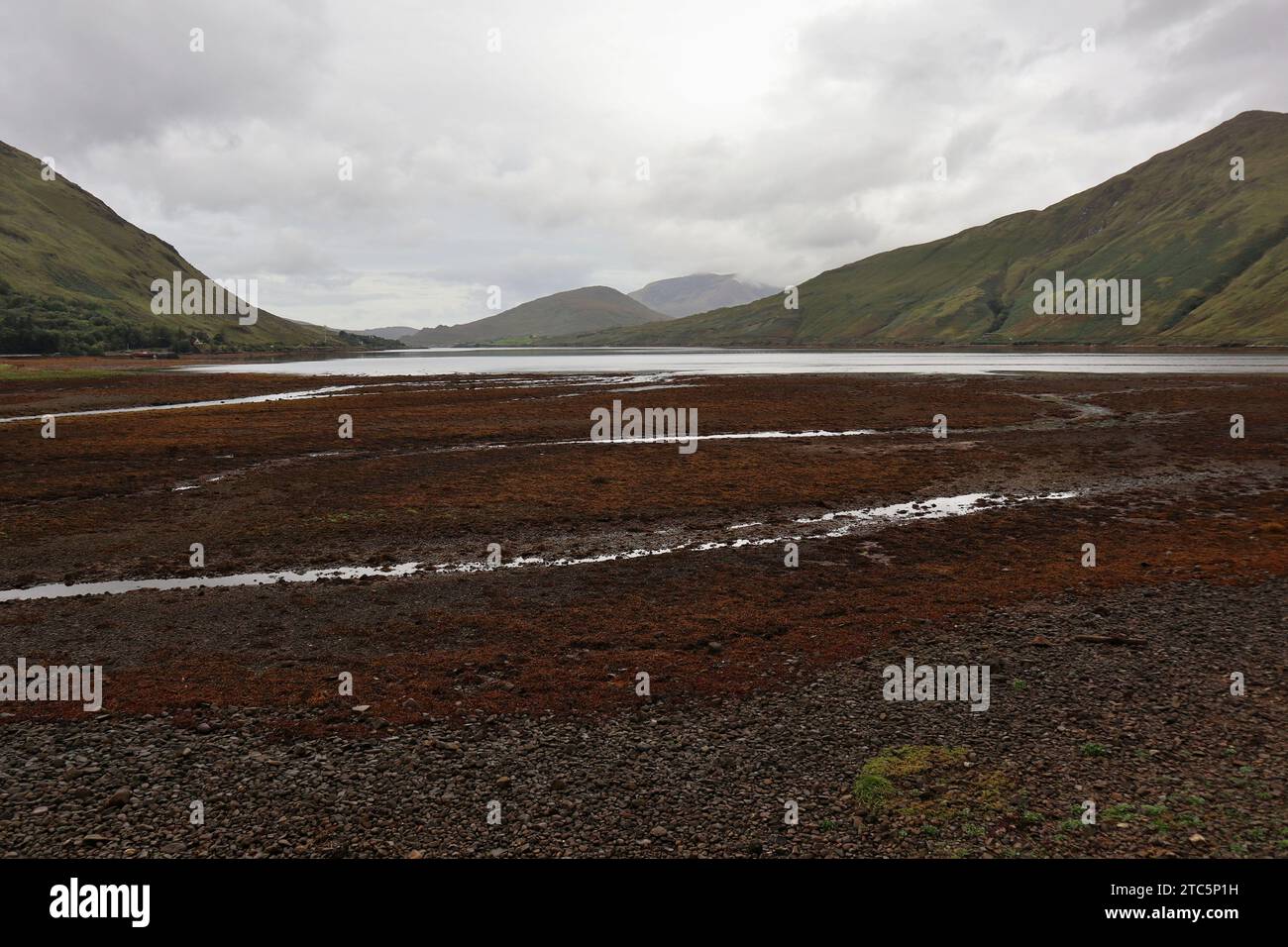 Leenane – Panorama del fiordo dal punto panoramico di Killary Harbour ...