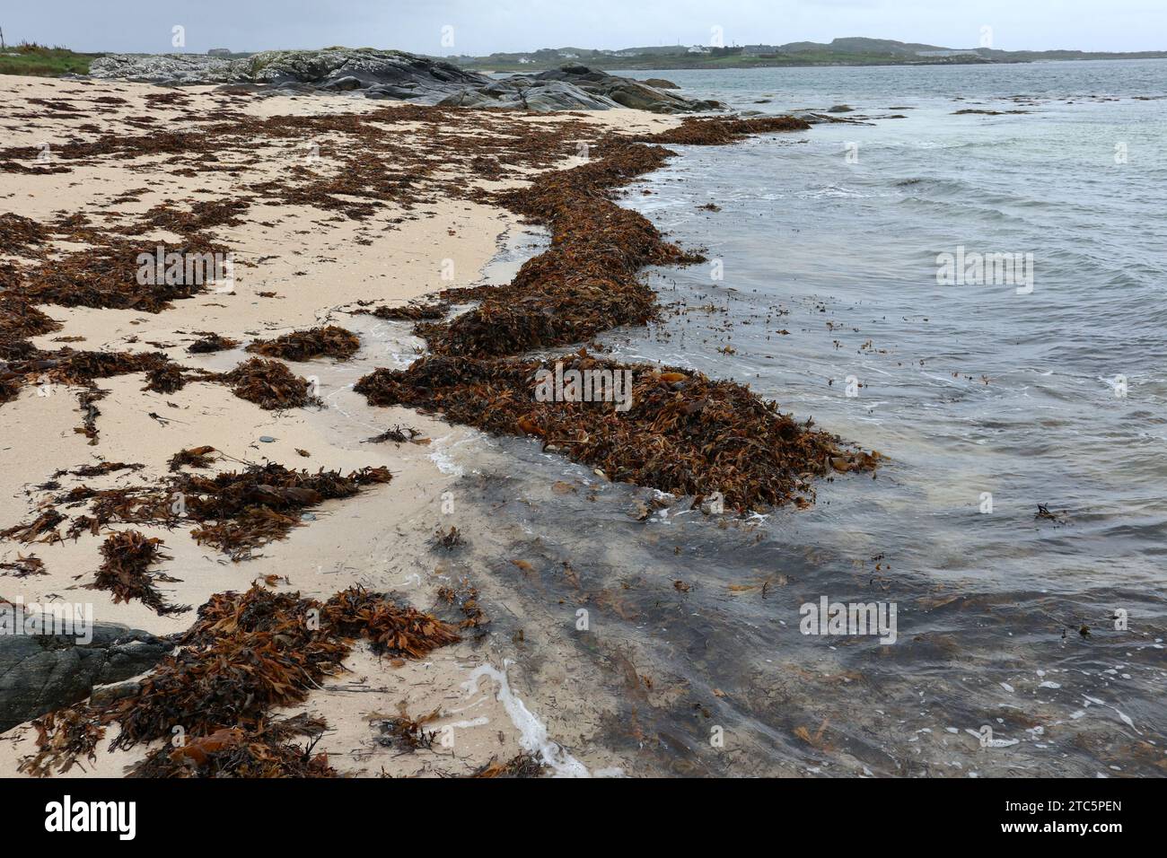 Costa mare riva roccia spiaggia hi-res stock photography and images - Alamy
