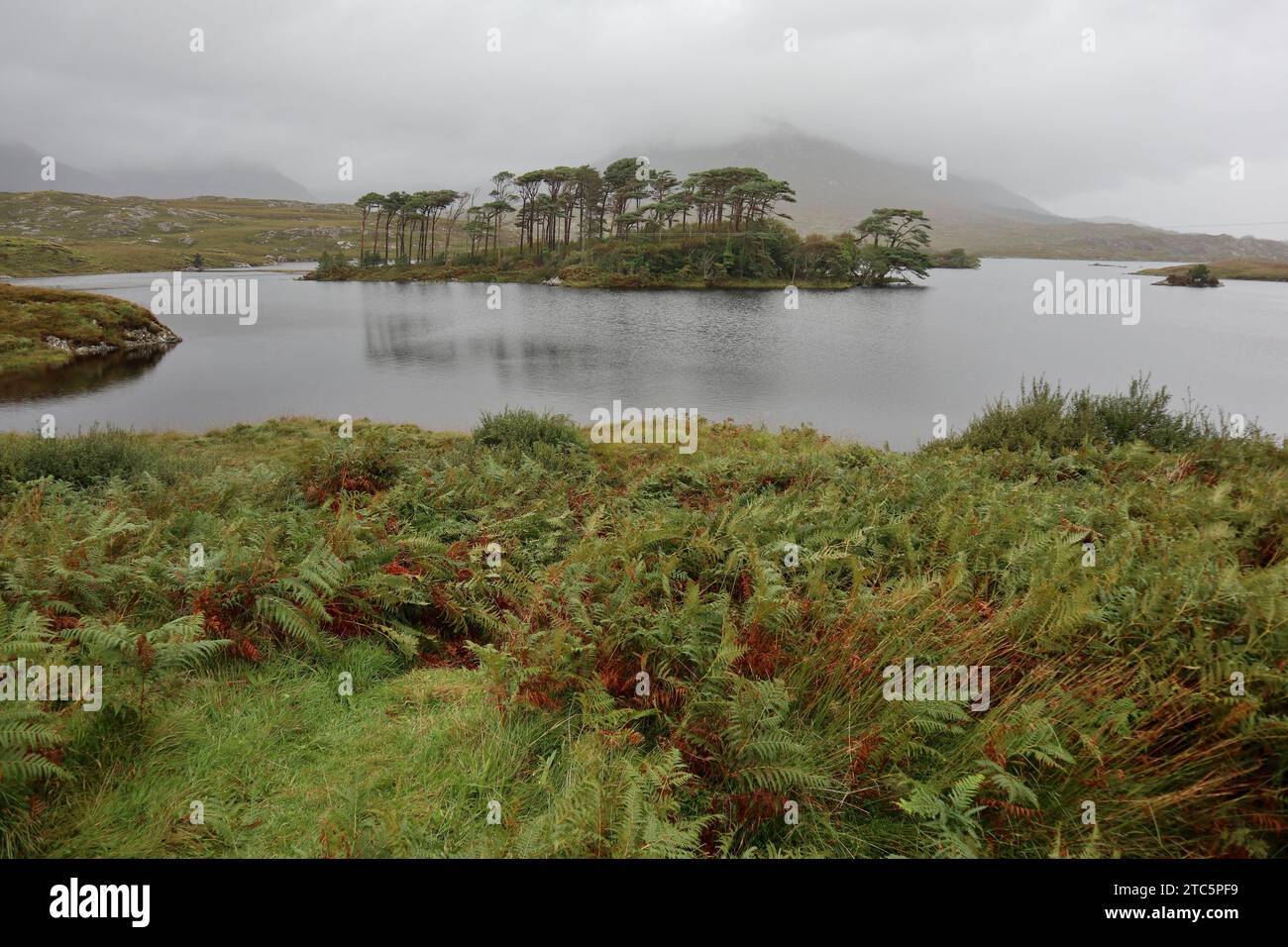 Connemara – Panorama da Pines Island Viewpoint Stock Photo - Alamy
