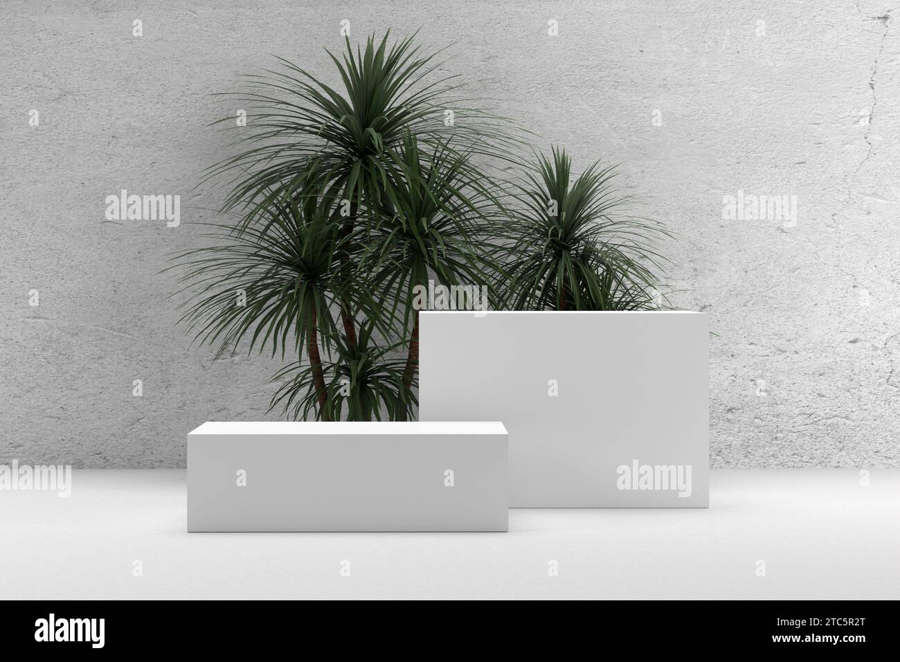 Natural cube shaped podium or stand on stucco background with tropical ...
