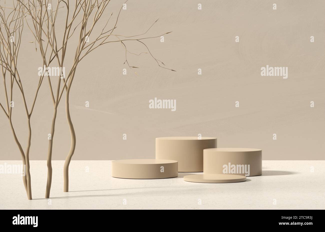 Cylinder shaped beige podiums with decorative dry tree branches. Mock ...