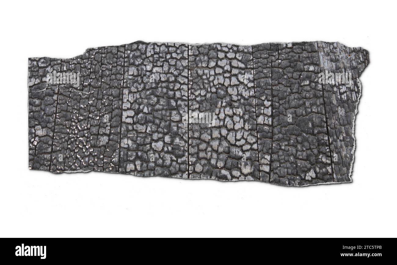 wood texture background burned wooden sample cutout cutting board ...