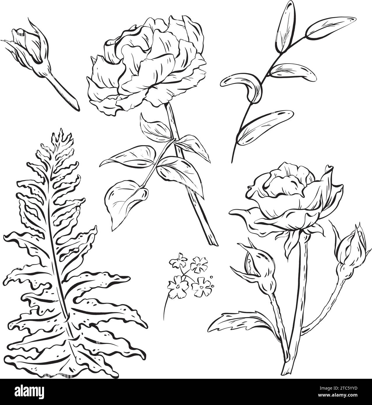 Ink: A hand-drawn set of flowers featuring roses with buds and delicate ...
