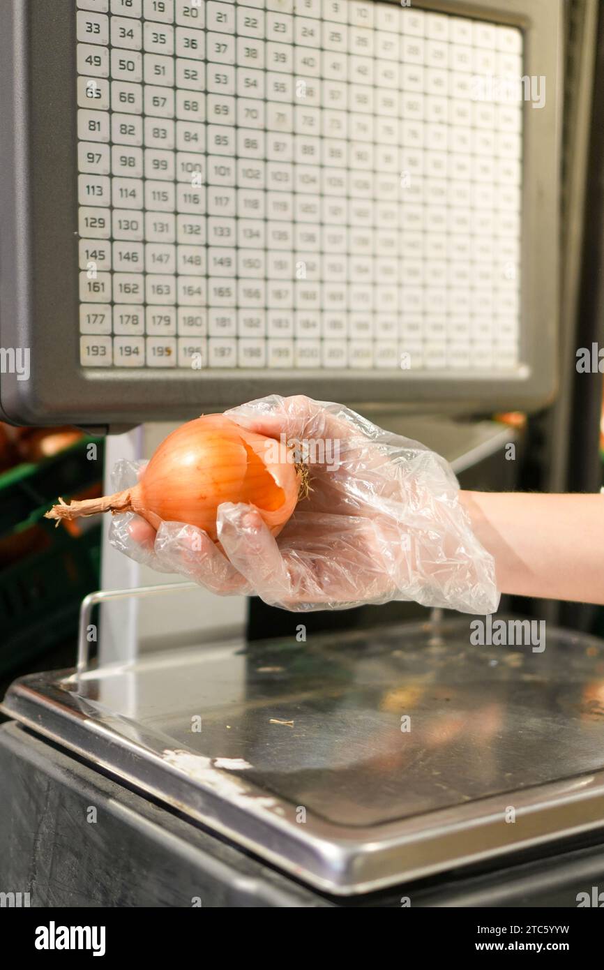 Vertical view of female hand with plastic glove weighting an onion in ...