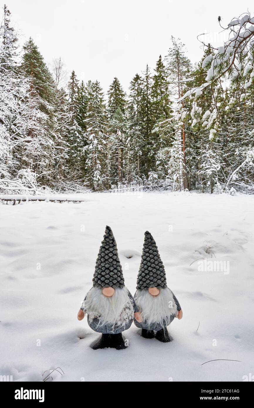 The two cheerful snow gnomes standing in a picturesque winter ...