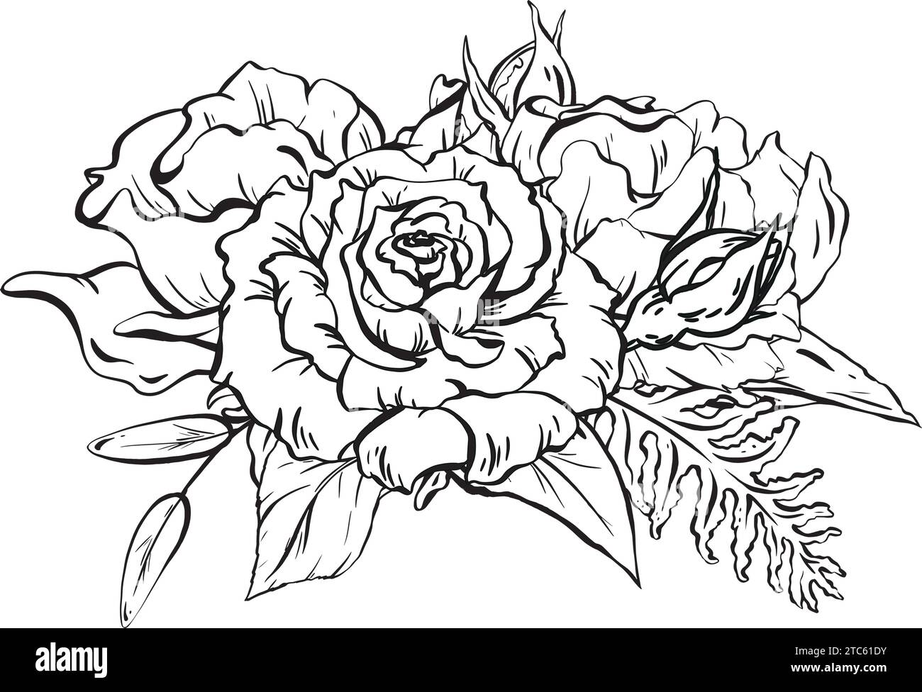 Leaves stem herbs Black and White Stock Photos & Images - Alamy