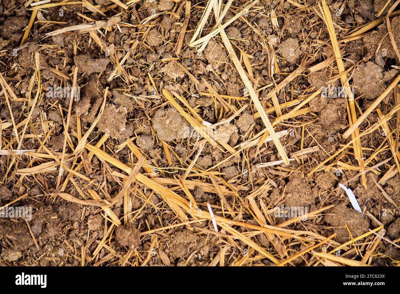 dry cow manure texture background Stock Photo - Alamy
