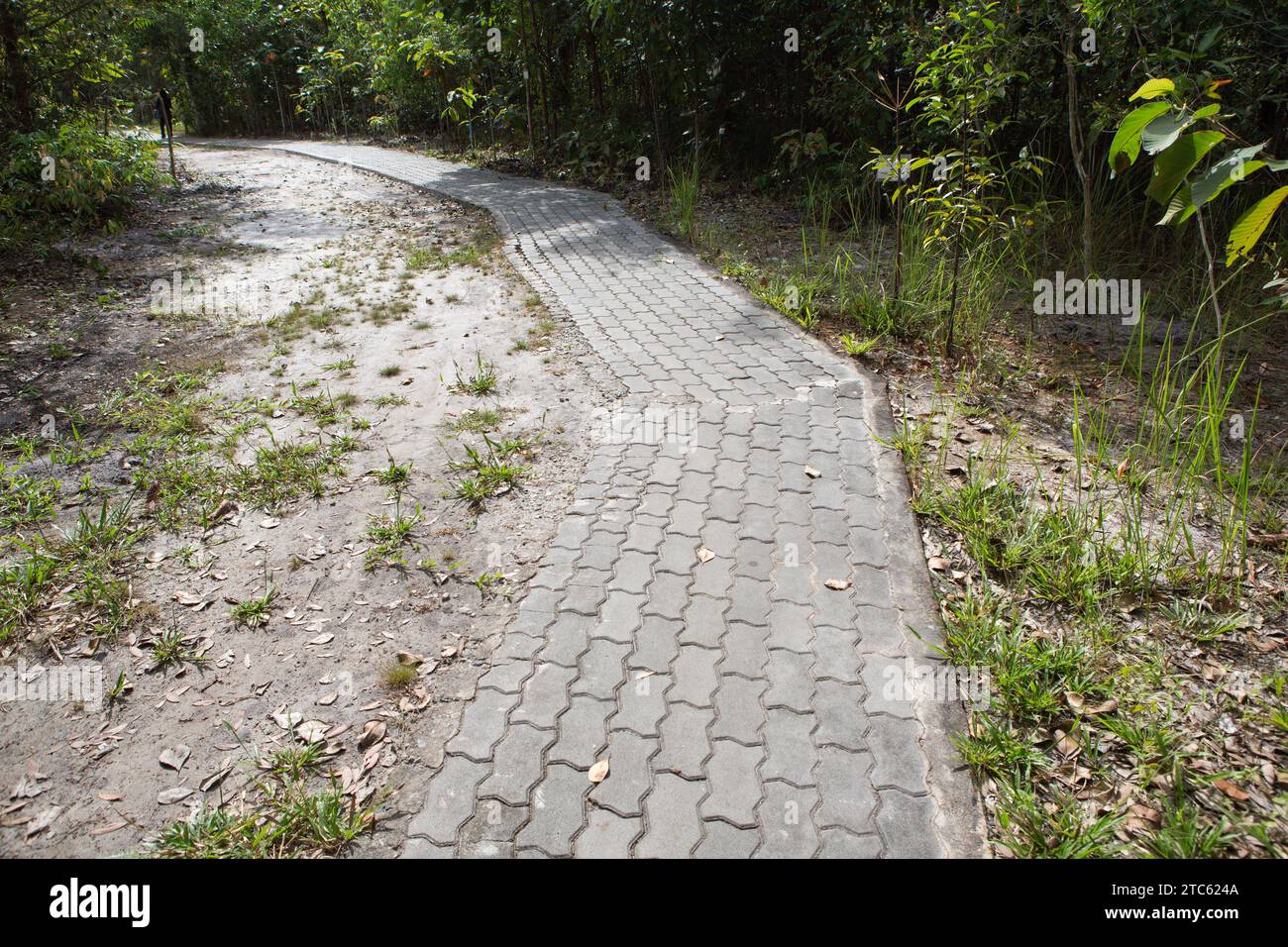 The Stone block walk path in the park Stock Photo - Alamy