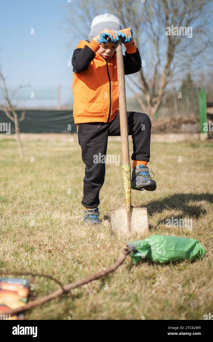 Six-year-old boy in the garden plants tree during sunny spring day ...
