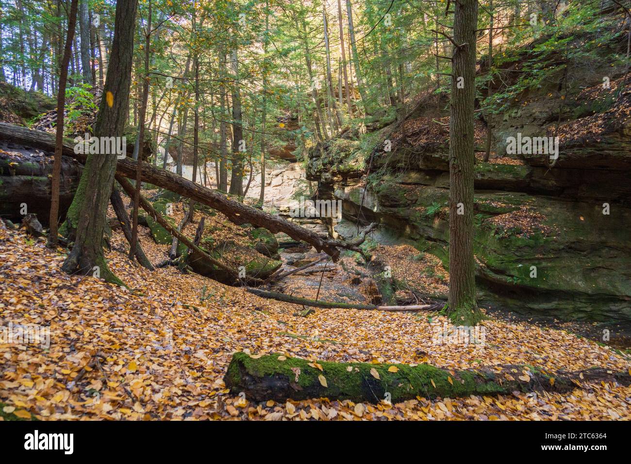 The Hocking Hills State Park in the Hocking Hills region of Hocking ...