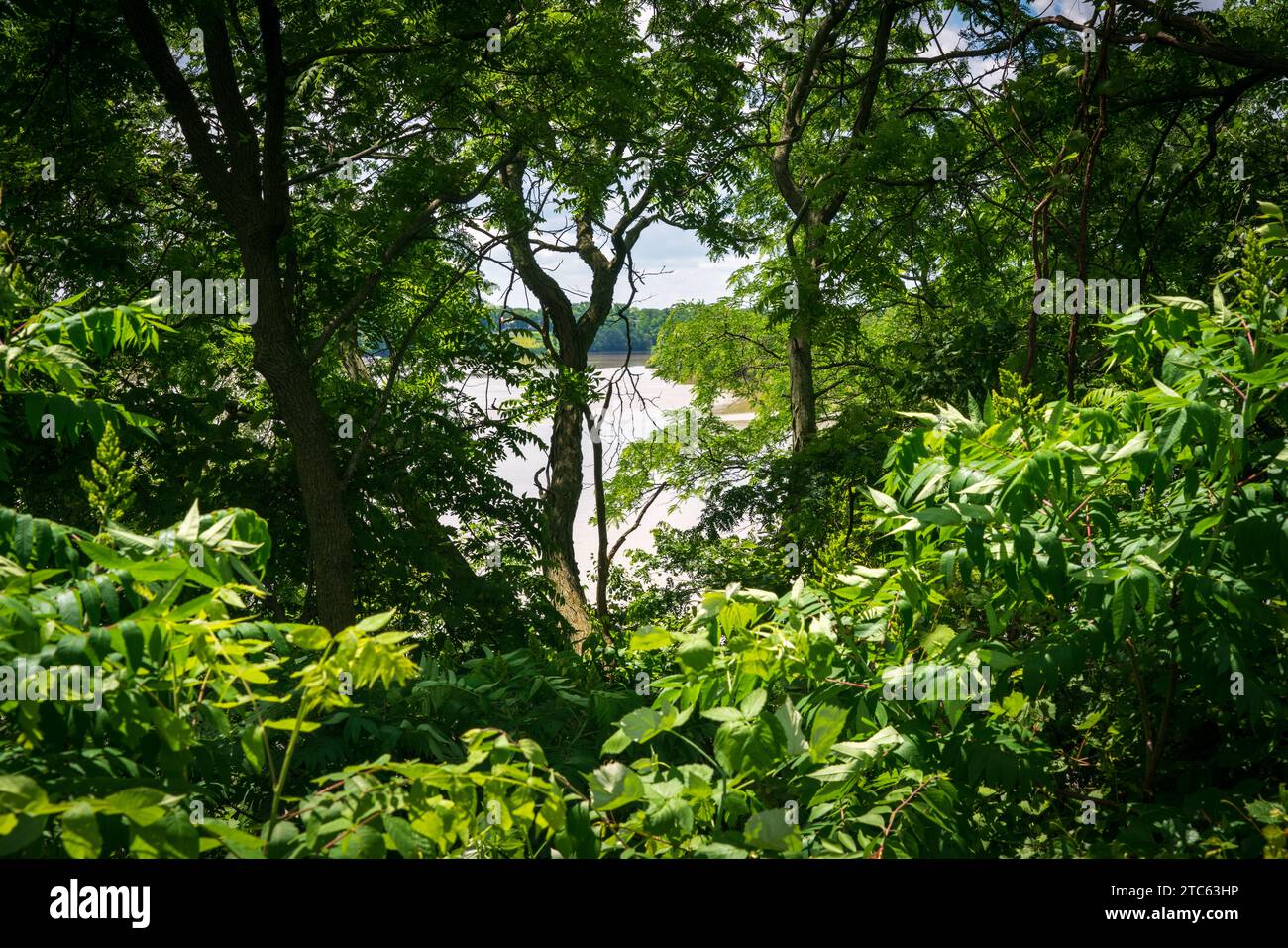 Fallen Timbers Battlefield and Fort Miamis National Historic Site in ...