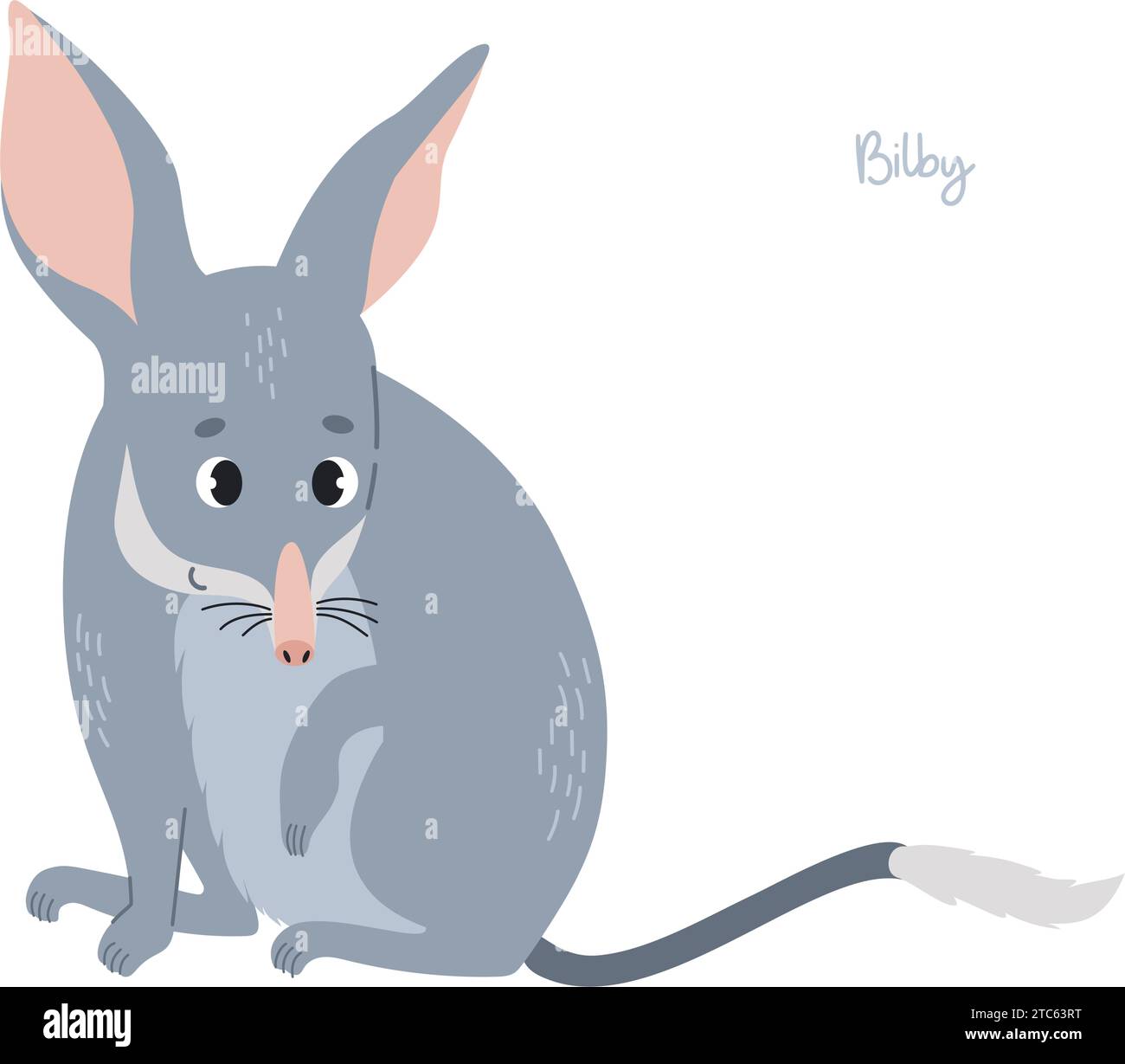 Cute bilby. Australian animal is wild mammal. Vector illustration in ...