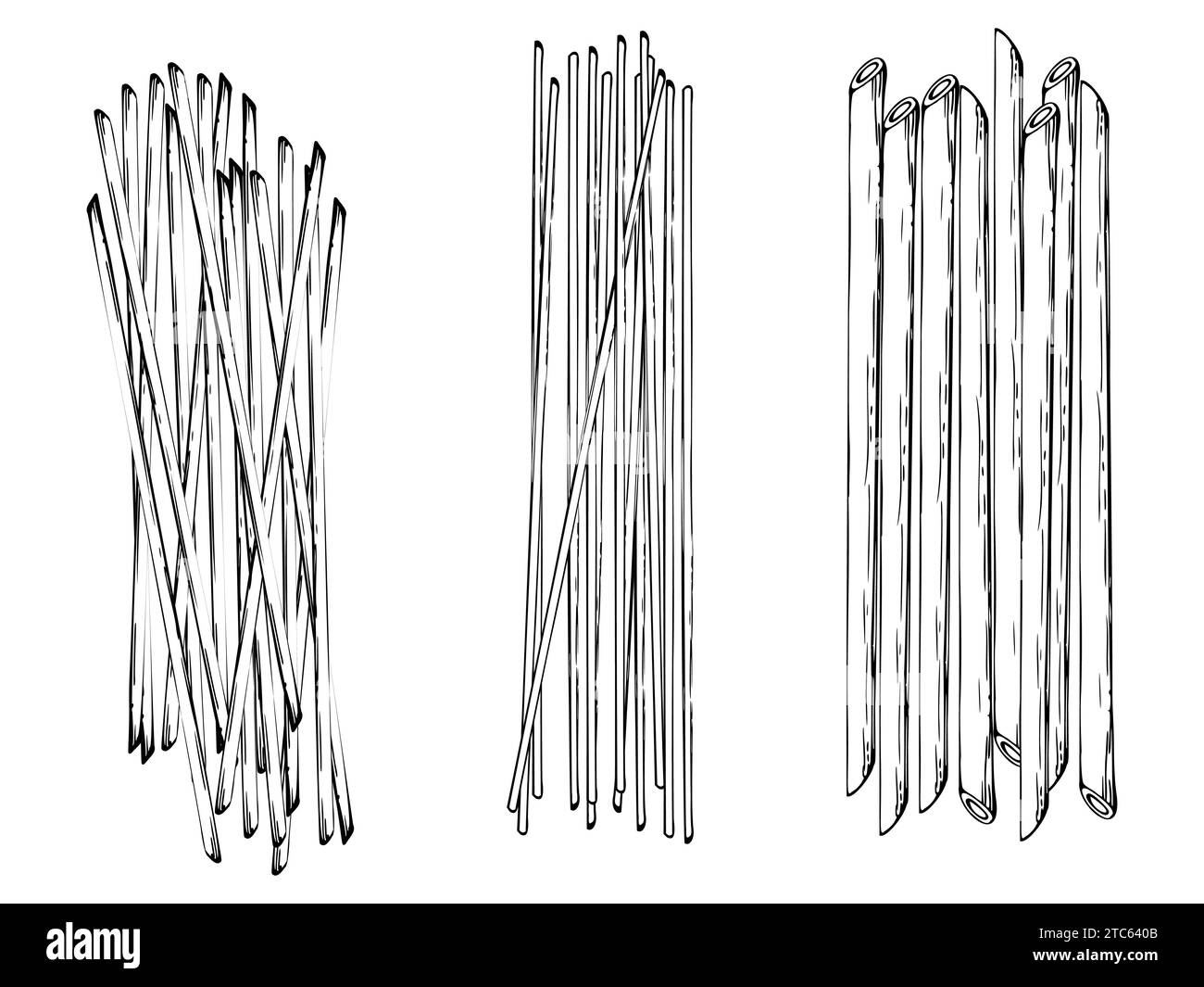 Hand drawn vector ink illustration. Long pasta Italian cuisine ...