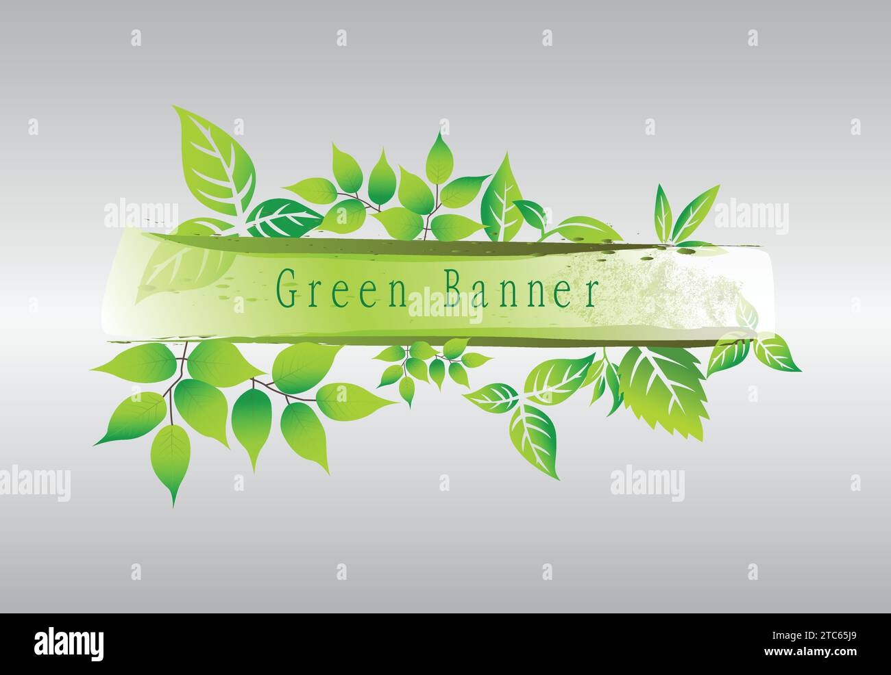 Vector green leaves hi-res stock photography and images - Alamy