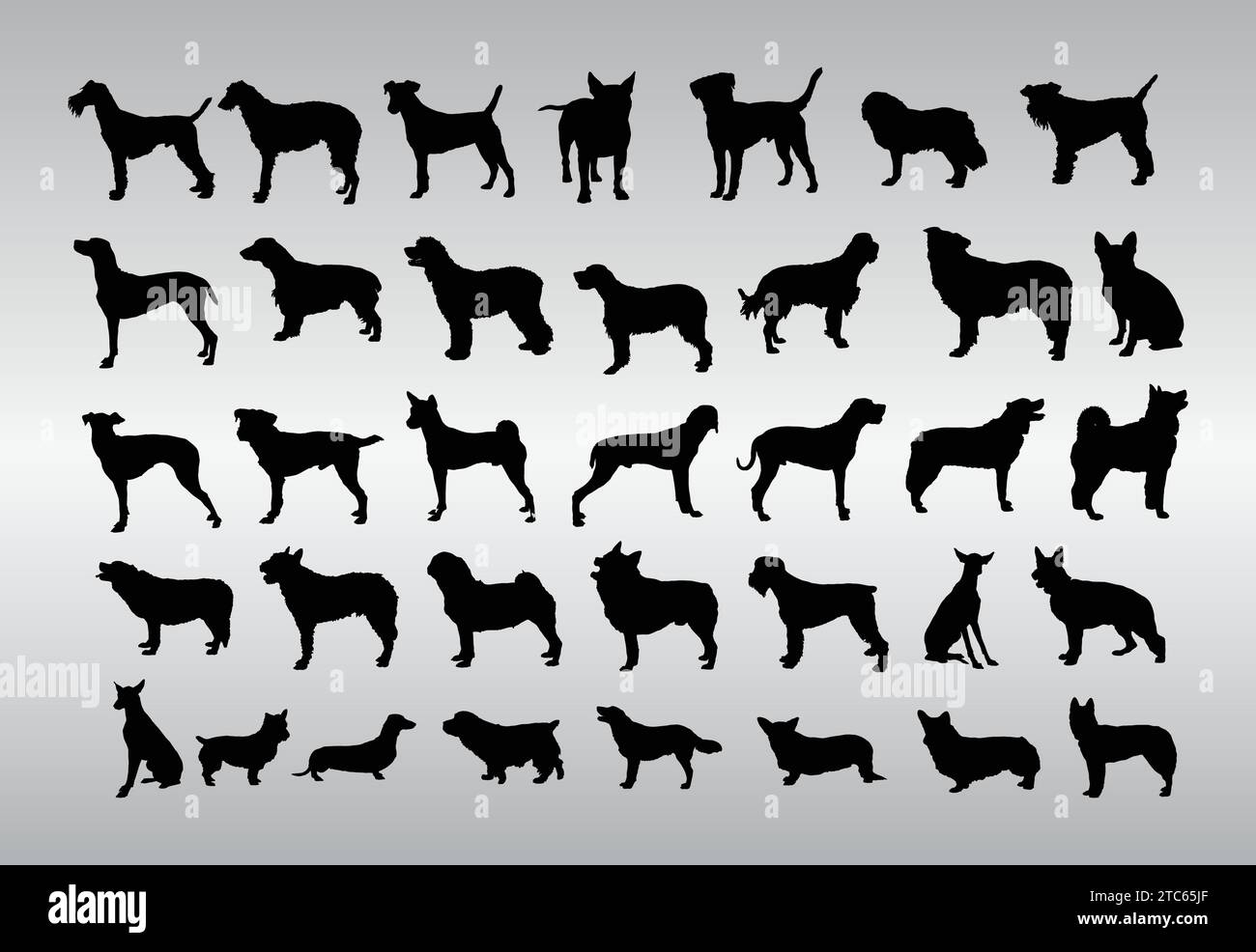 Bulldog silhouettes hi-res stock photography and images - Alamy