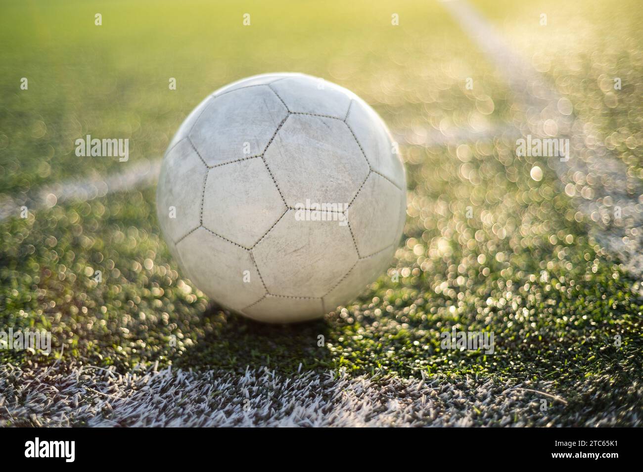Football pitch grass hi-res stock photography and images - Alamy
