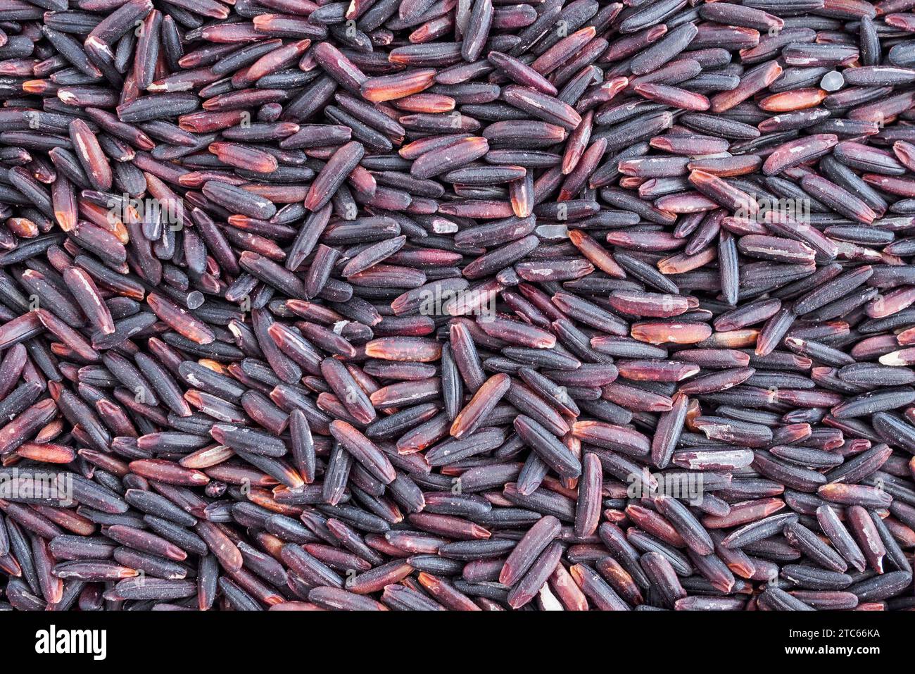 raw organic Thailand riceberry rice texture background Stock Photo - Alamy