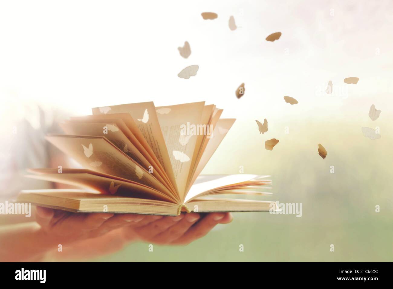 surreal paper butterflies come out free from the pages of a book ...