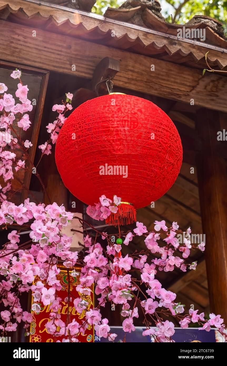 Red lanterns hanging on artificial sakura tree in Vietnam for Tet Lunar ...