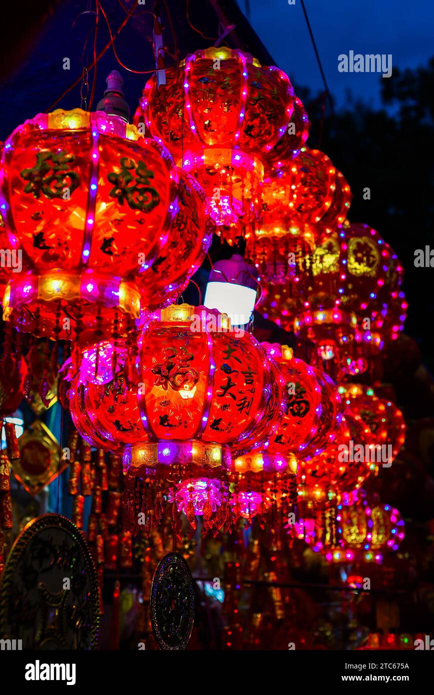 Vietnam tet tree hi-res stock photography and images - Alamy