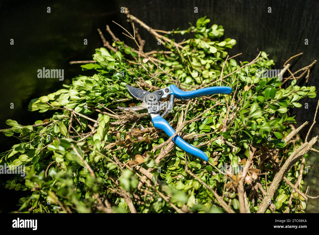 Shearing waste hi-res stock photography and images - Alamy